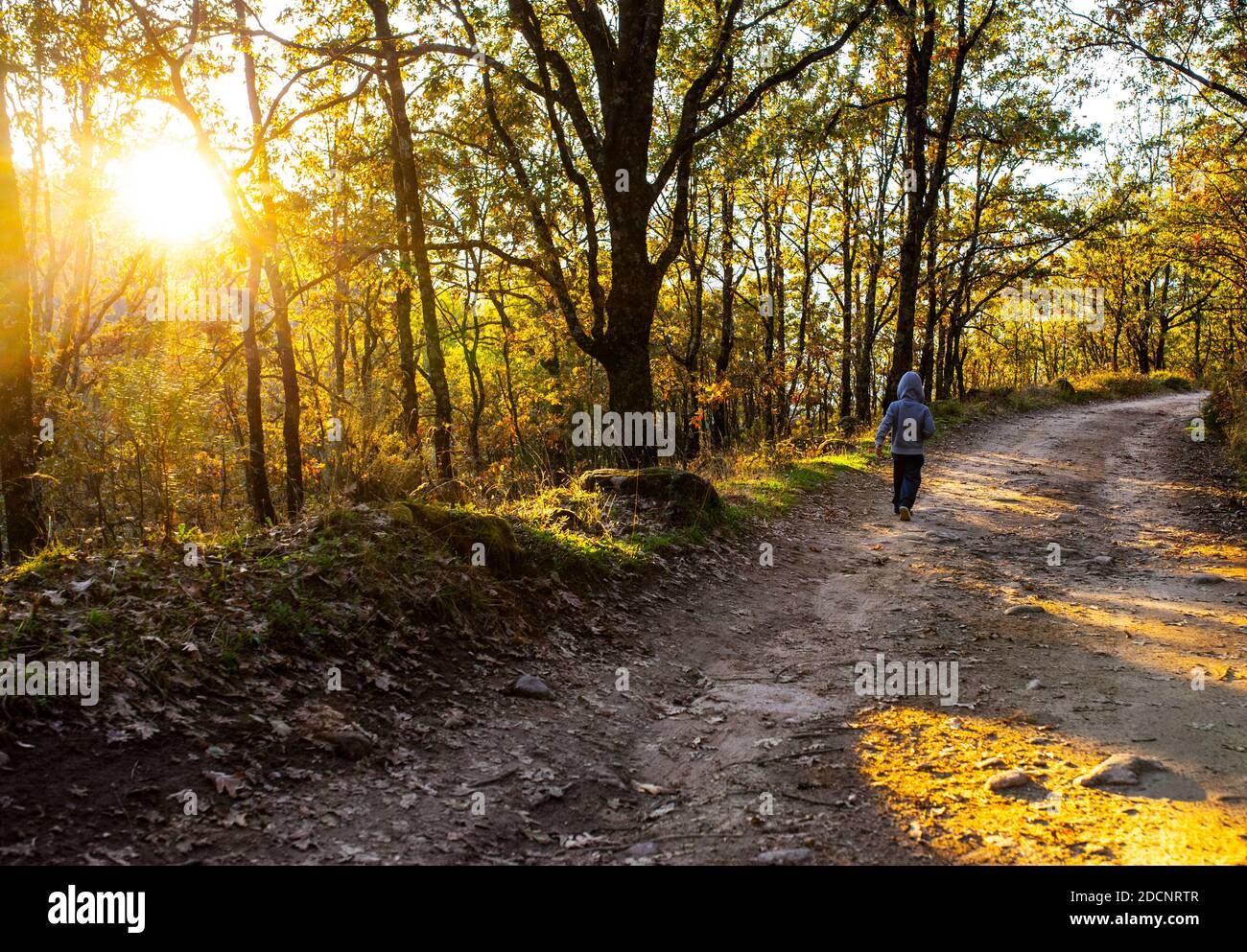 Child boy walking alone by stone pavement forest path. Social isolation ...