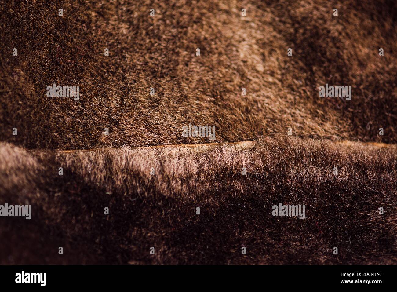 Natural short brown fur. Brown texture from the seamy side of the ...