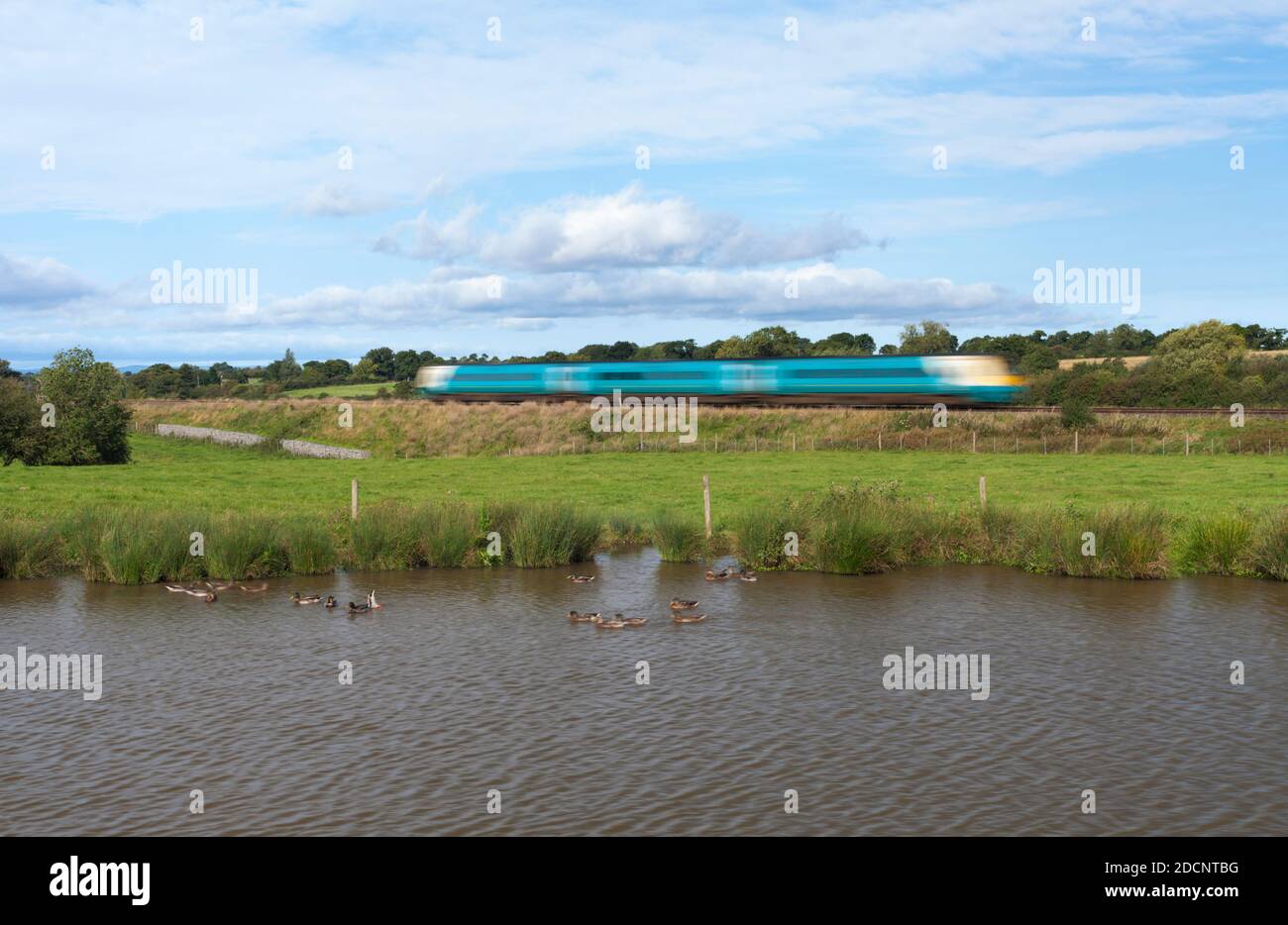 Transport For Wales Alstom Coradia class 175 train speeding through the ...