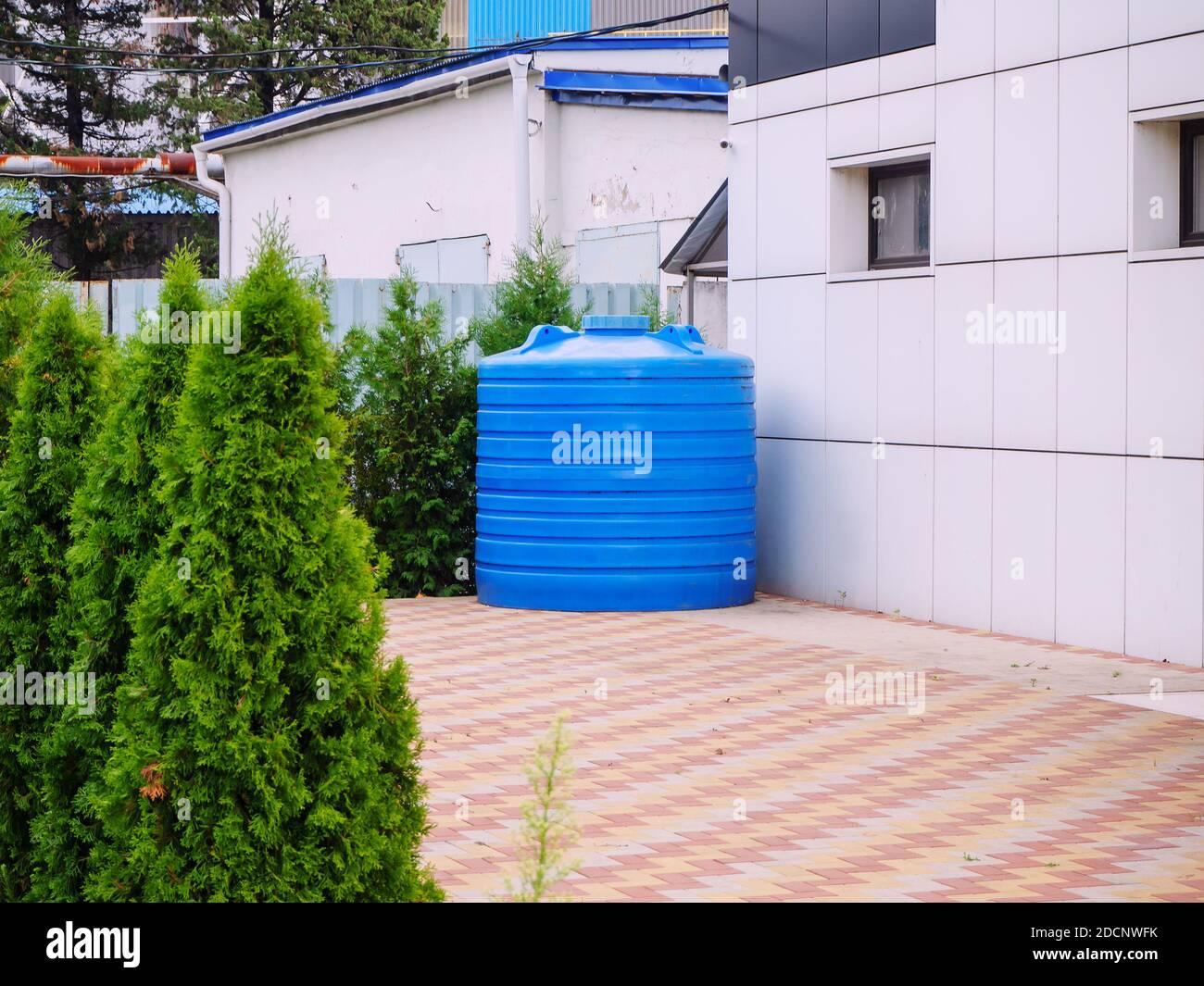 A blue plastic water tank stands in a backyard surrounded by thujas ...
