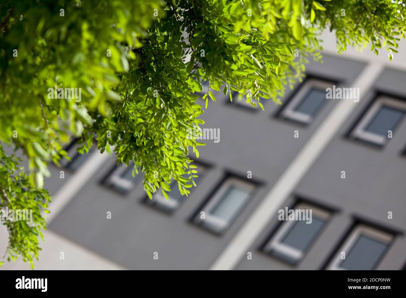 Building facade with square windows and sky Stock Photo - Alamy