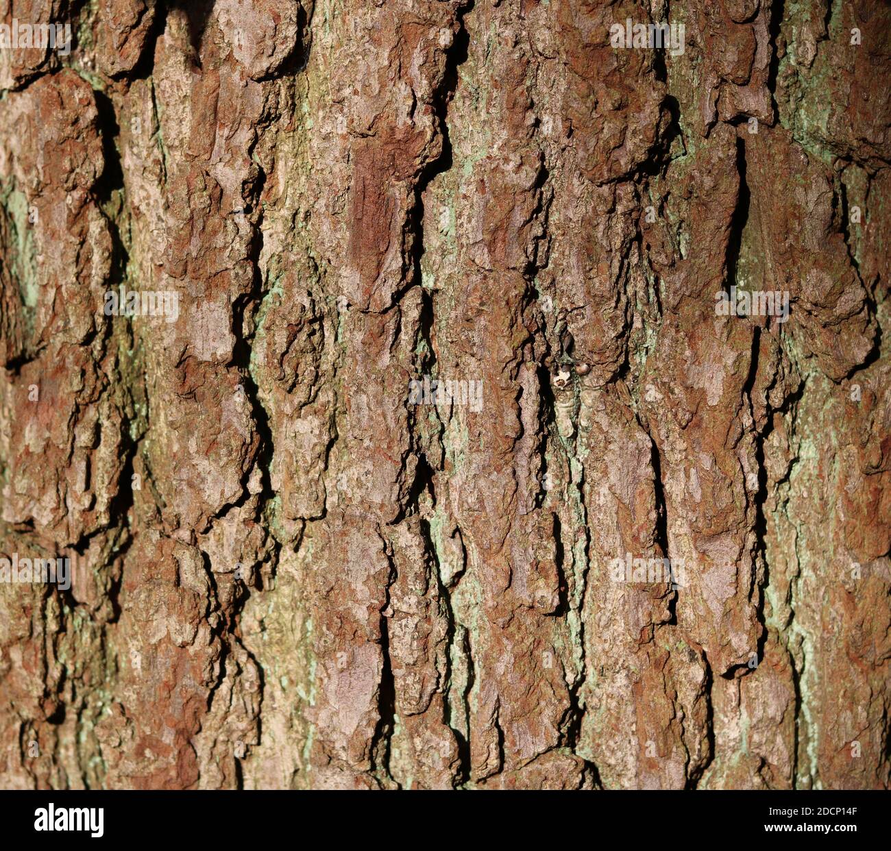 Rough furrows hi-res stock photography and images - Alamy