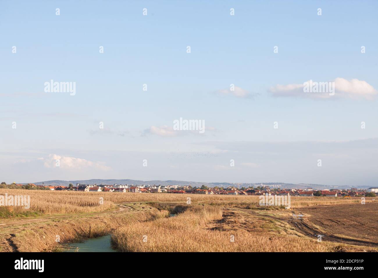 Pancevacki rit hi-res stock photography and images - Alamy