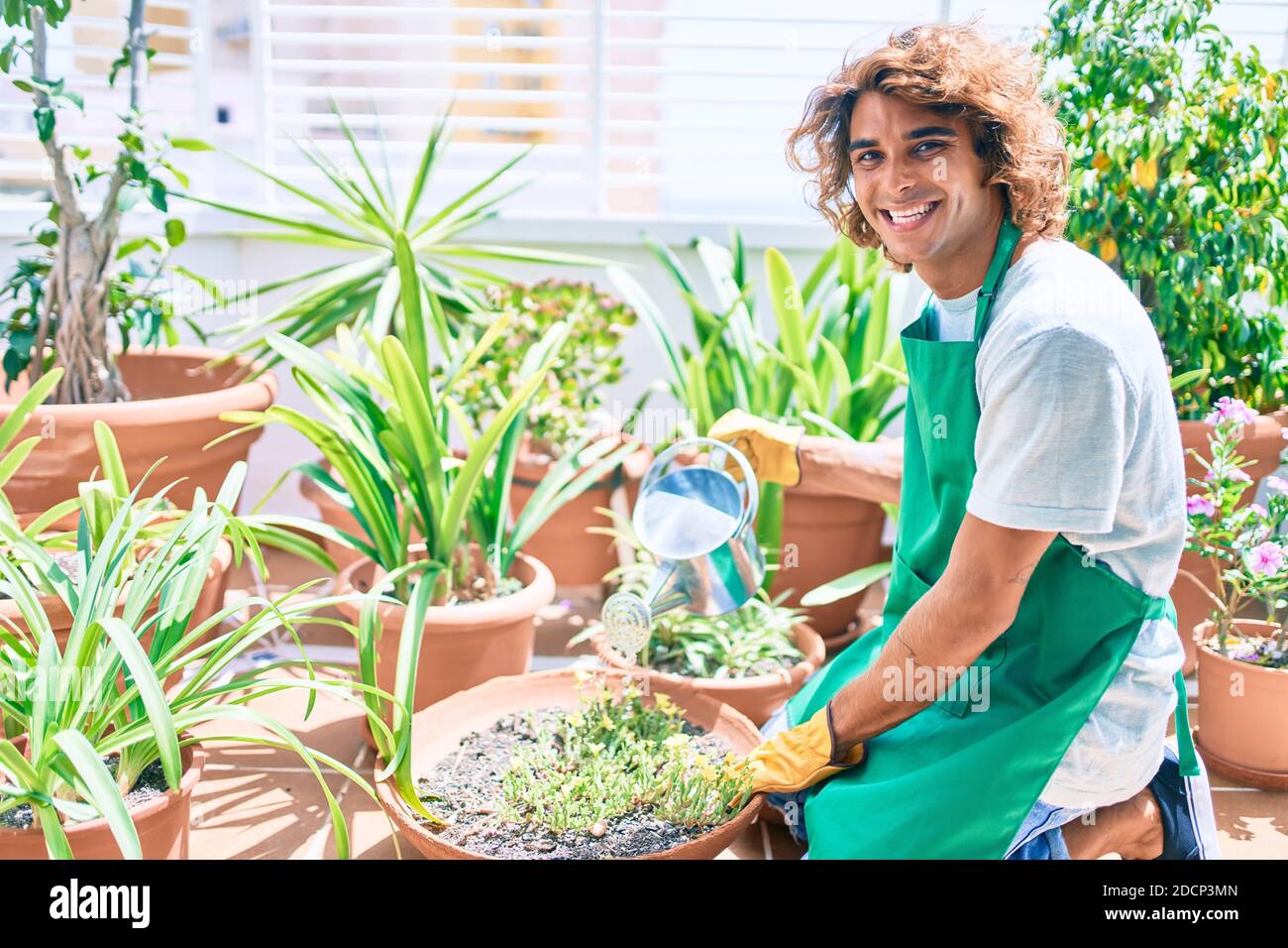 Young hispanic gardener smiling happy caring plants using watering can ...