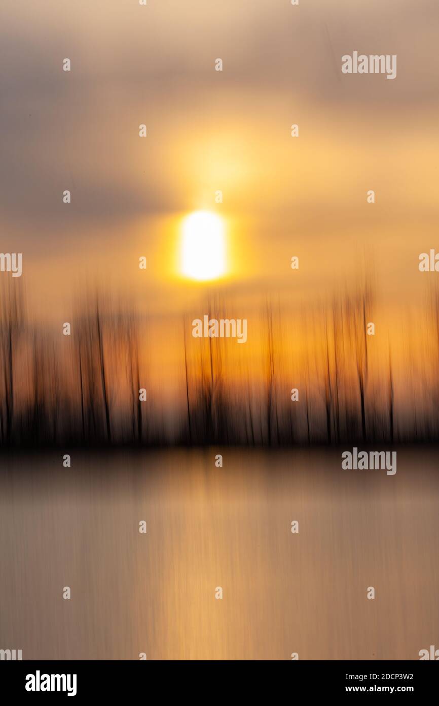 Intentional vertical camera movement creating a mystical view of the ...