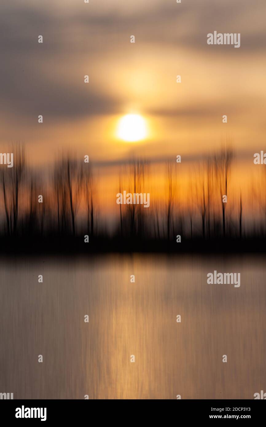 Intentional vertical camera movement creating a mystical view of the ...