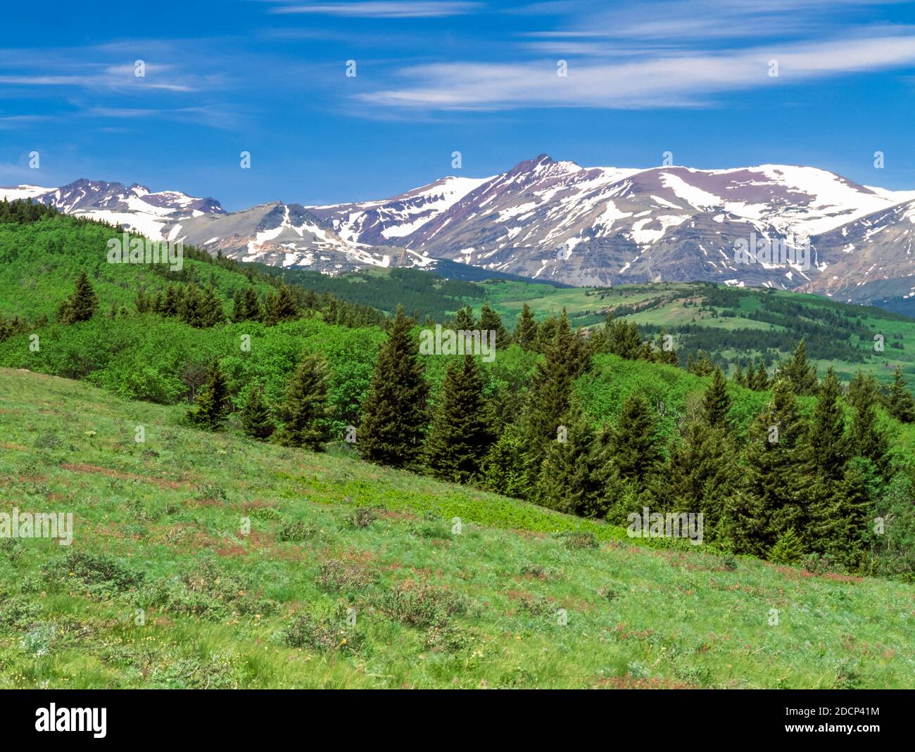 badger-two medicine area of the blackfeet reservation near east glacier ...