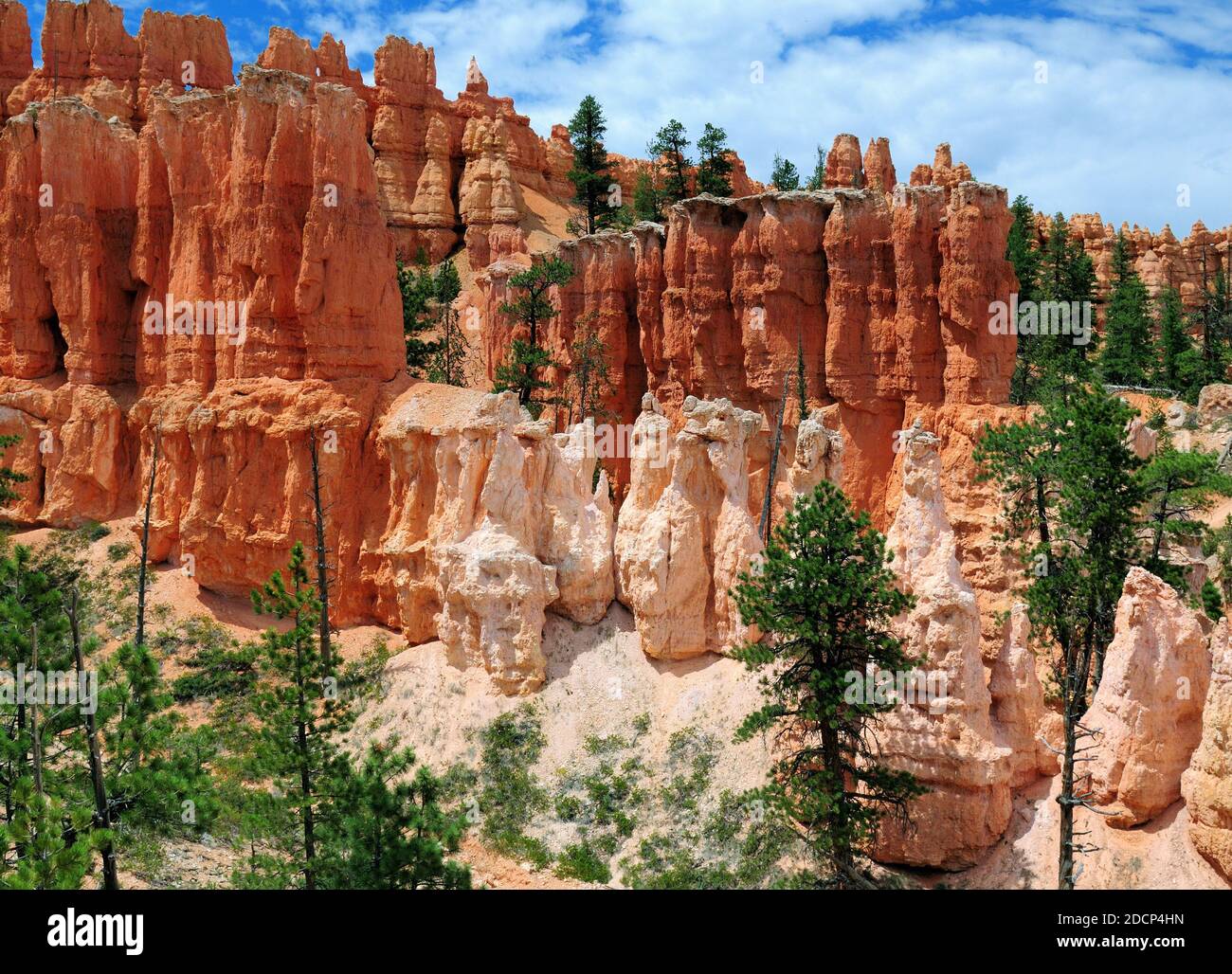 Big park loop trail hi-res stock photography and images - Alamy