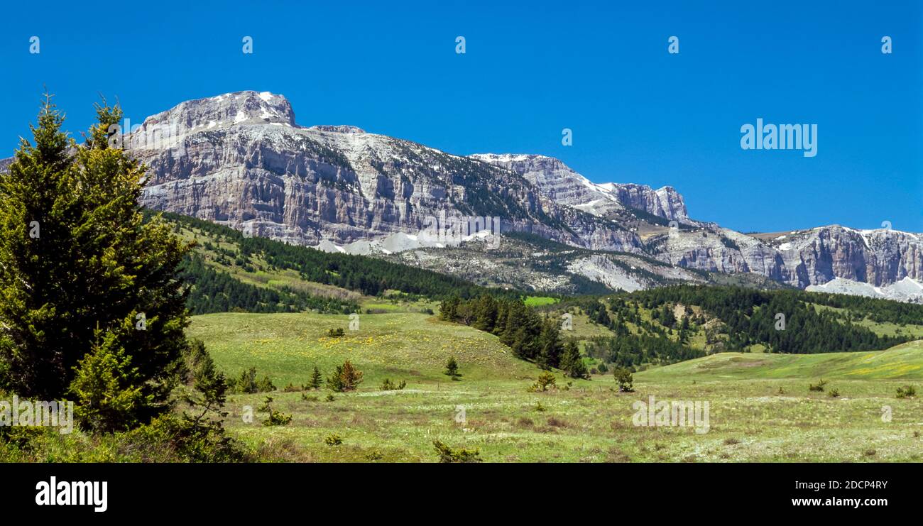 Mt 8913 hi-res stock photography and images - Alamy