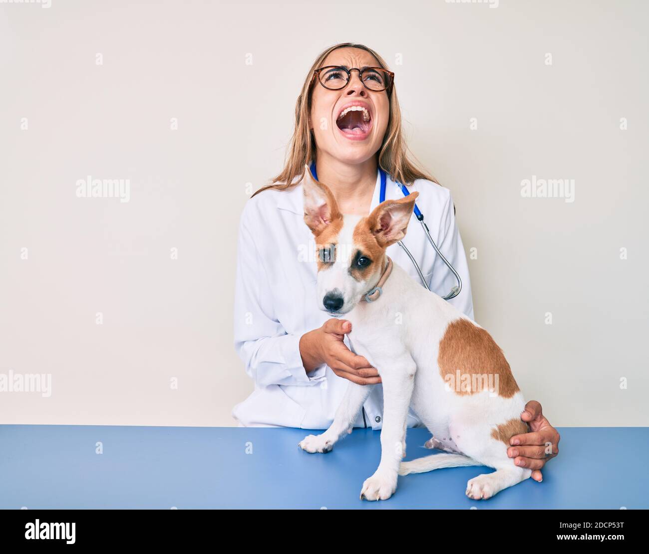 Young beautiful blonde veterinarian woman checking dog health angry and ...