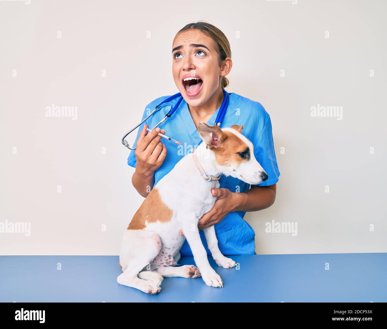 Young beautiful blonde veterinarian woman putting vaccine to puppy dog ...