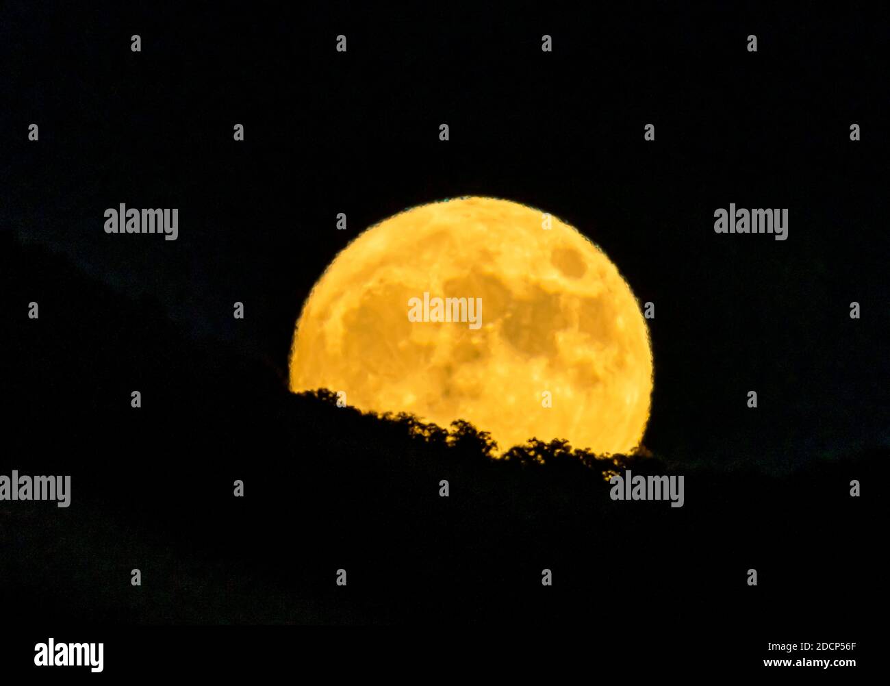 Full hunters moon hi-res stock photography and images - Alamy