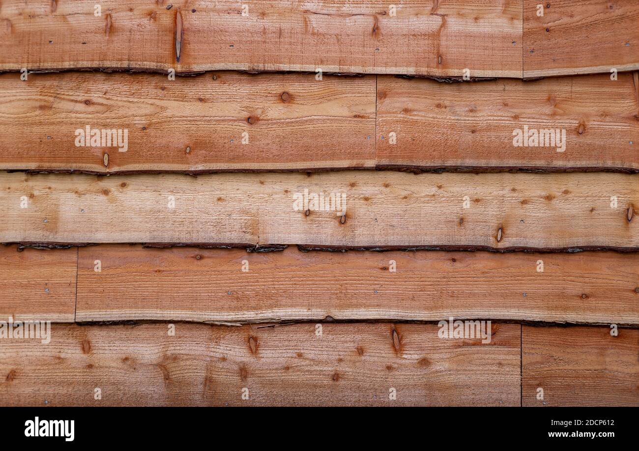 Close up side view of waney edge wooden cladding boards on side of shed ...