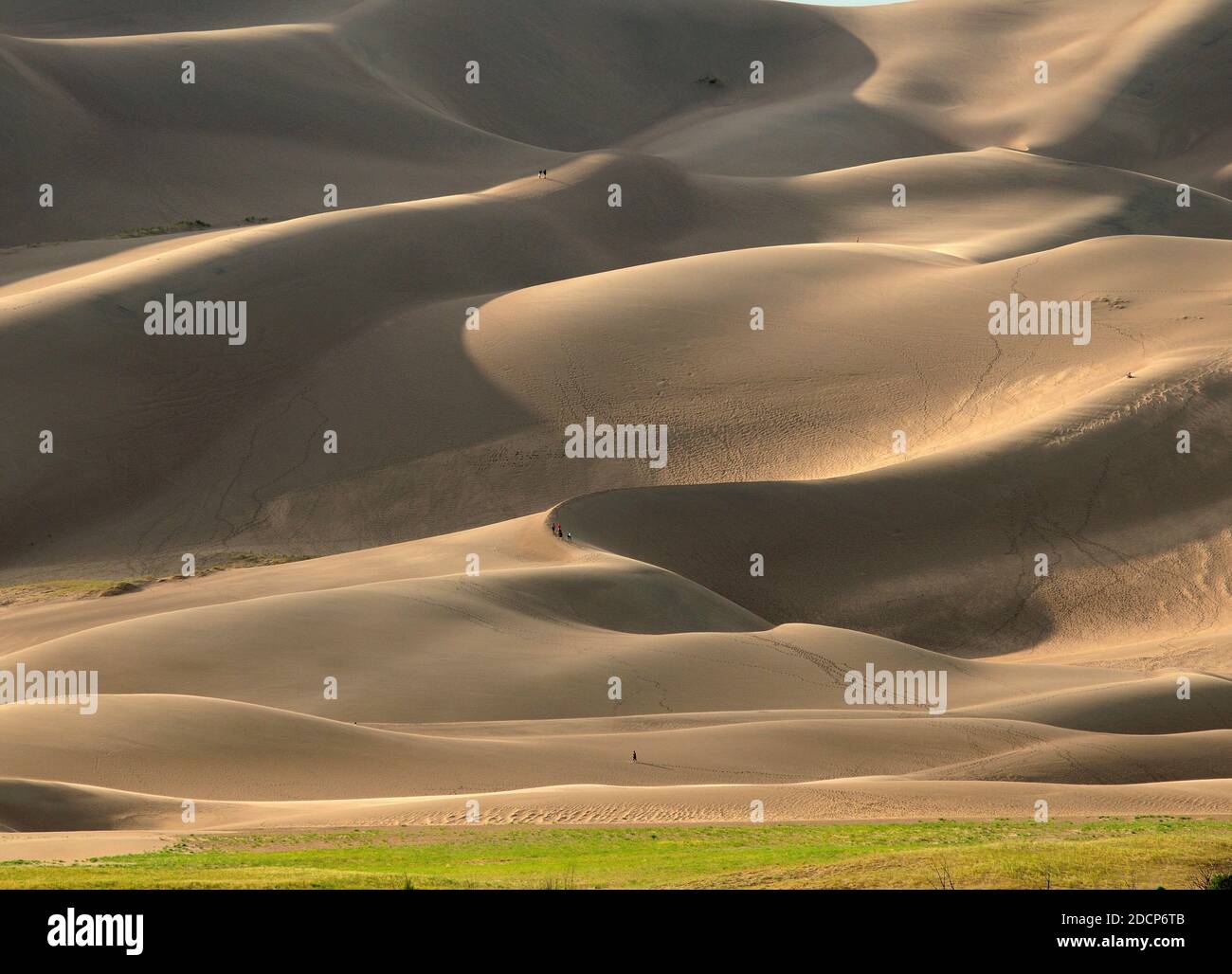 Rolling on a sand hi-res stock photography and images - Alamy