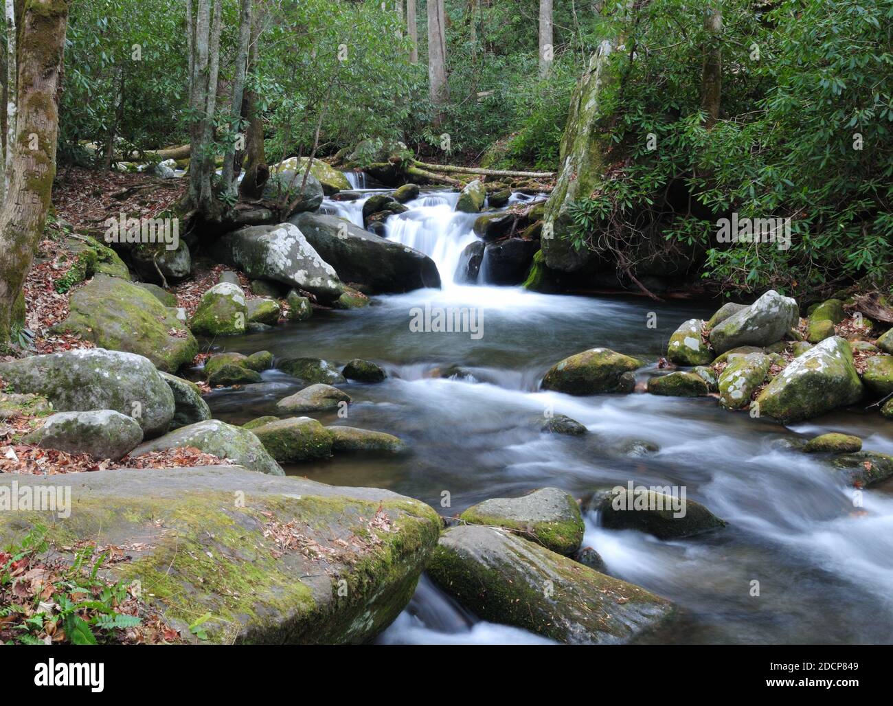 Tennessee cherokee national forest hi-res stock photography and images ...