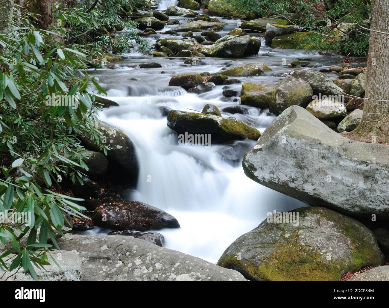 Cherokee national forest tennessee hi-res stock photography and images ...