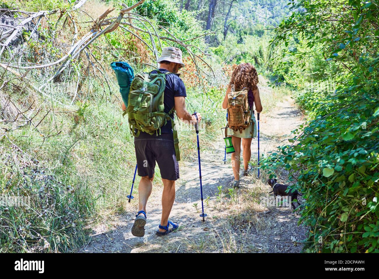 Beautiful couple of hiker on back view wearing backpack doing trekking ...
