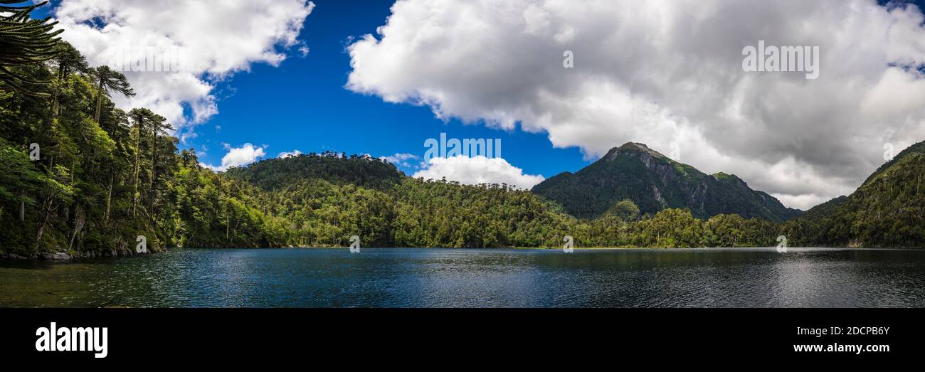 Lago del toro hi-res stock photography and images - Alamy