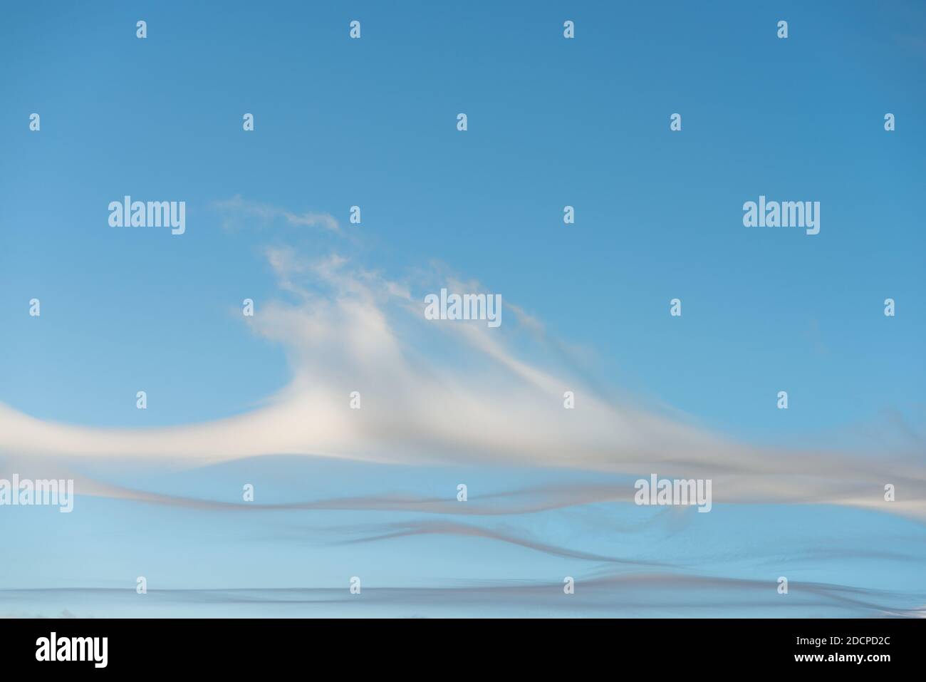 Delicate lines hi-res stock photography and images - Alamy