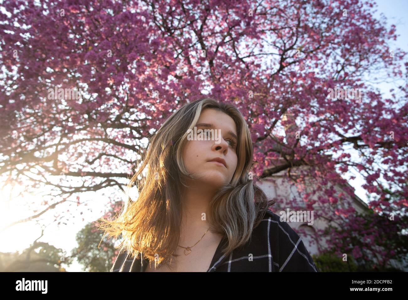 Portrait of a girl on the background of a pink flowering tree Stock ...