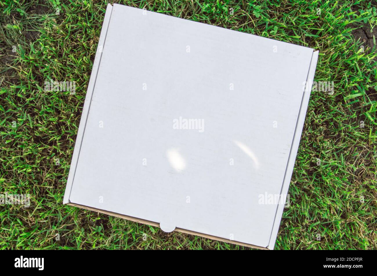 One white pizza box with a copy of the space on the green grass, pizza ...