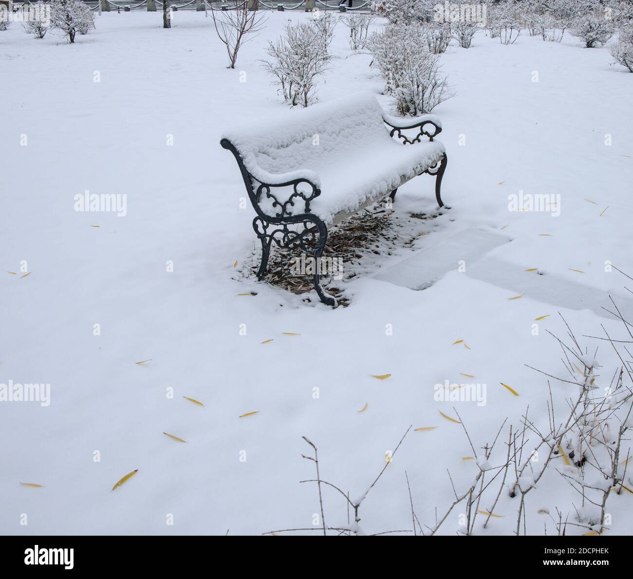 snow covered bench outdoor Stock Photo - Alamy