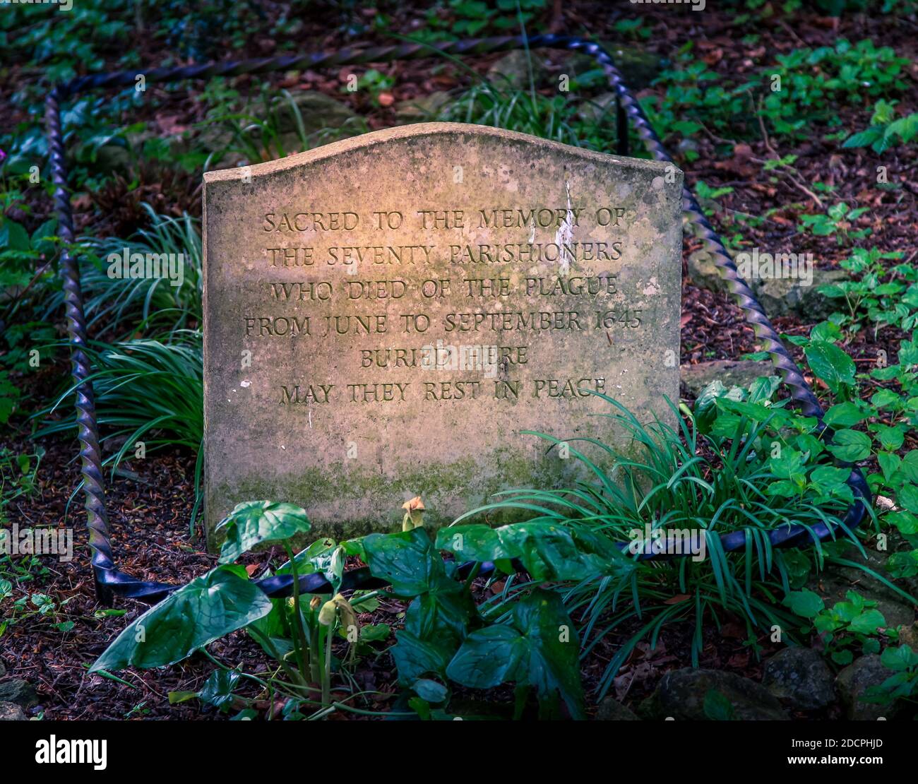 Black plague medieval hi-res stock photography and images - Alamy