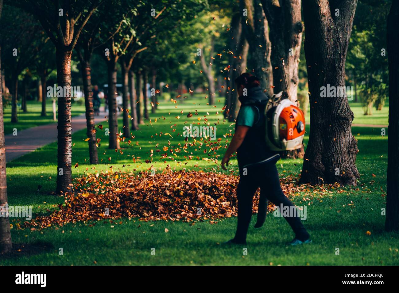 Woman blowing leaves leaf blower hi-res stock photography and images ...