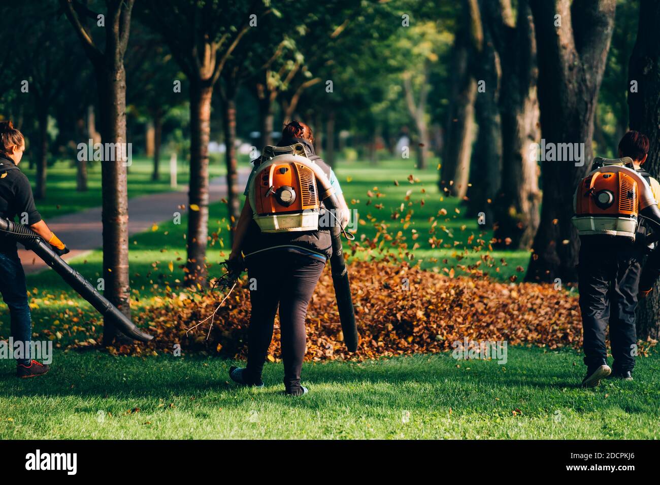 Woman leaf blower blowing leaves hi-res stock photography and images ...