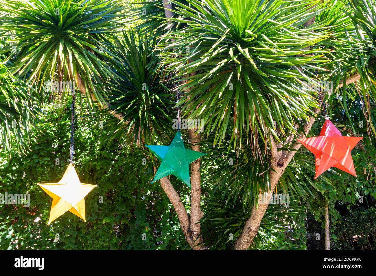 Filipino parols or Christmas lanterns at a resort in Cebu, Philippines ...