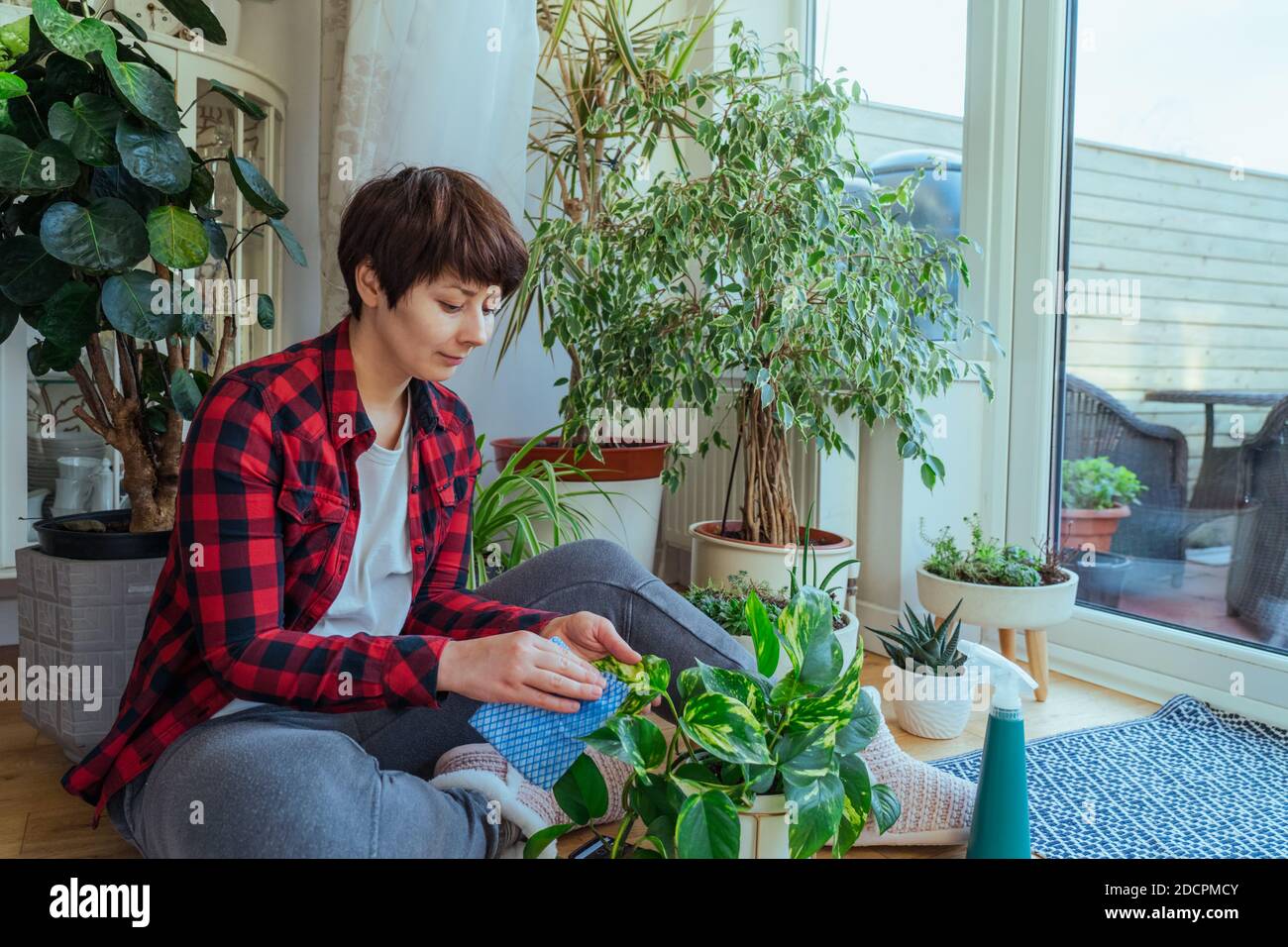 Woman plants inside home hi-res stock photography and images - Alamy