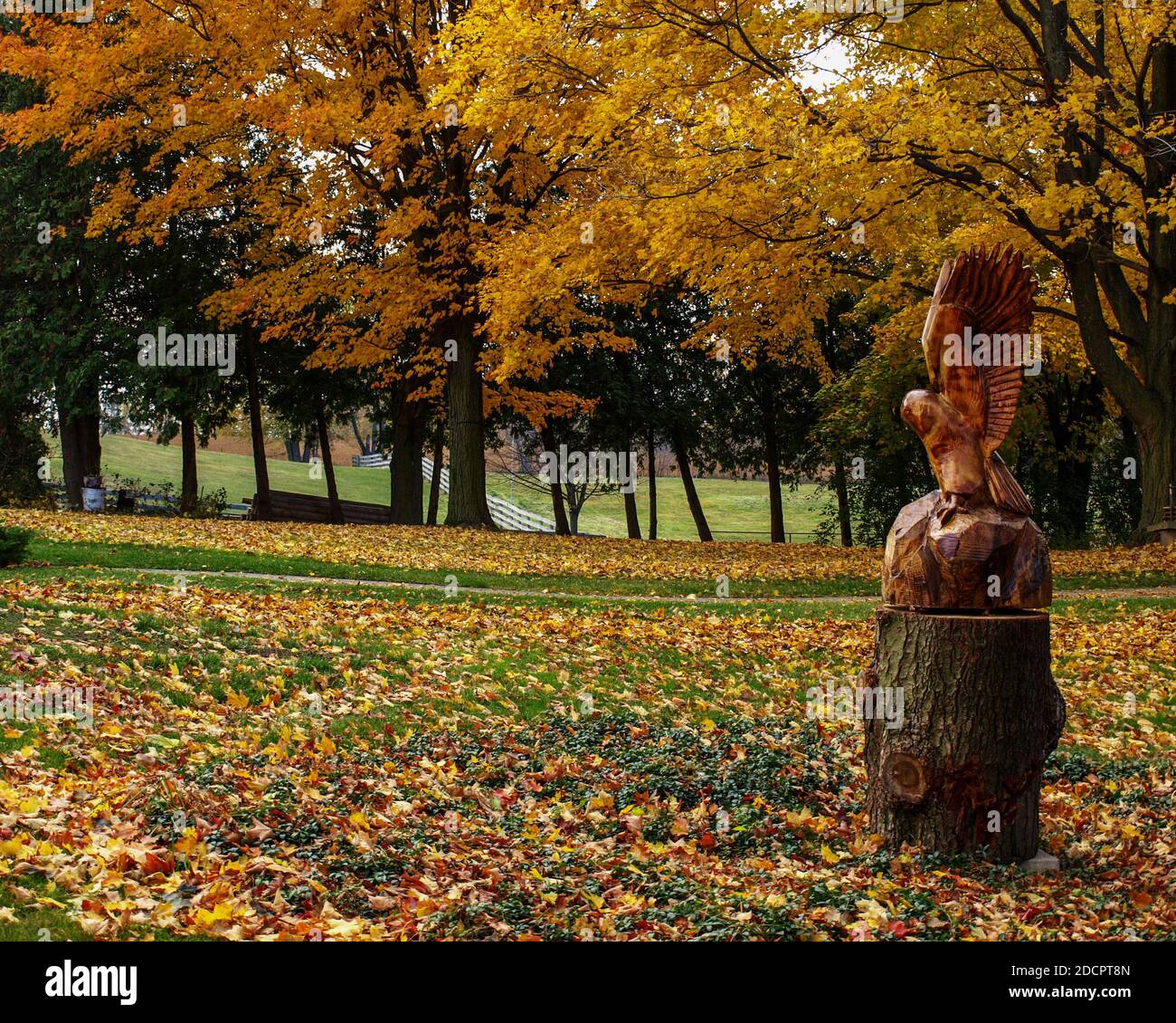 Fall in Caledon - Farm land decorated by the colors - ON, Canada. Fall ...