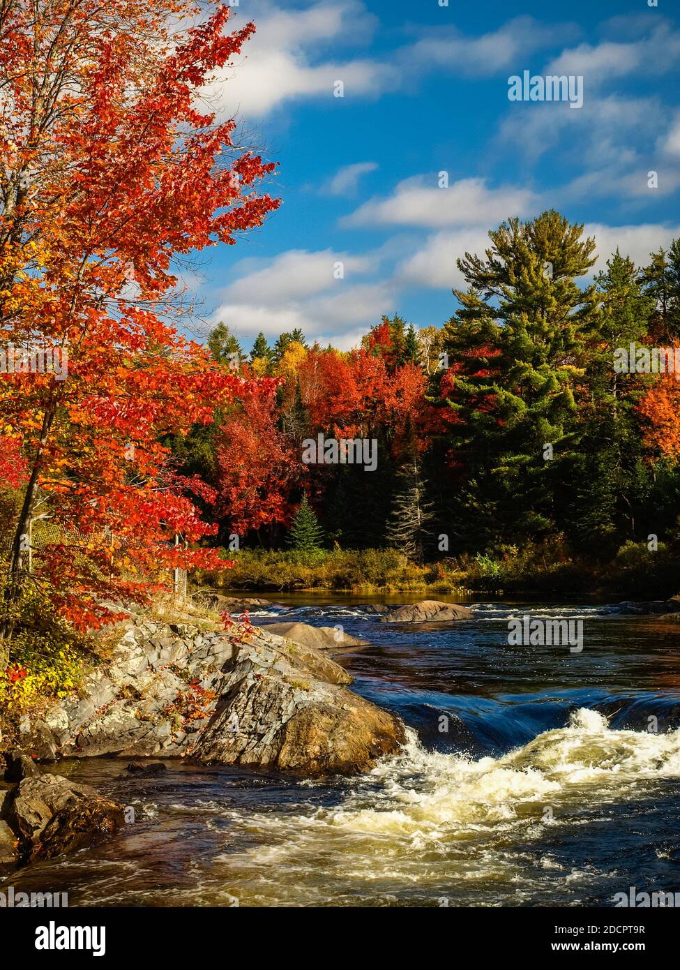 Gushing river decorated by red leaves at the Chutes park, ON, Canada ...