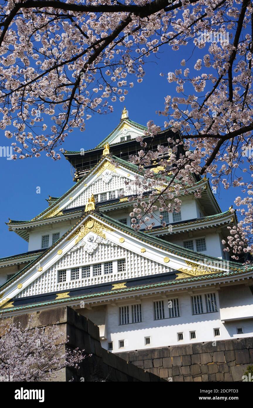 Osaka Castle in the spring with cherry blossoms Stock Photo - Alamy