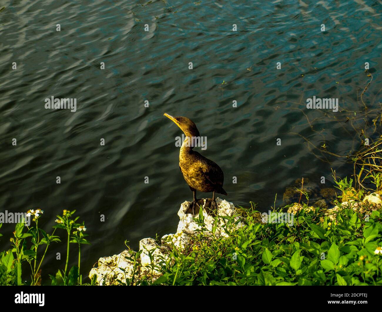 Beaches florida keys hi-res stock photography and images - Alamy