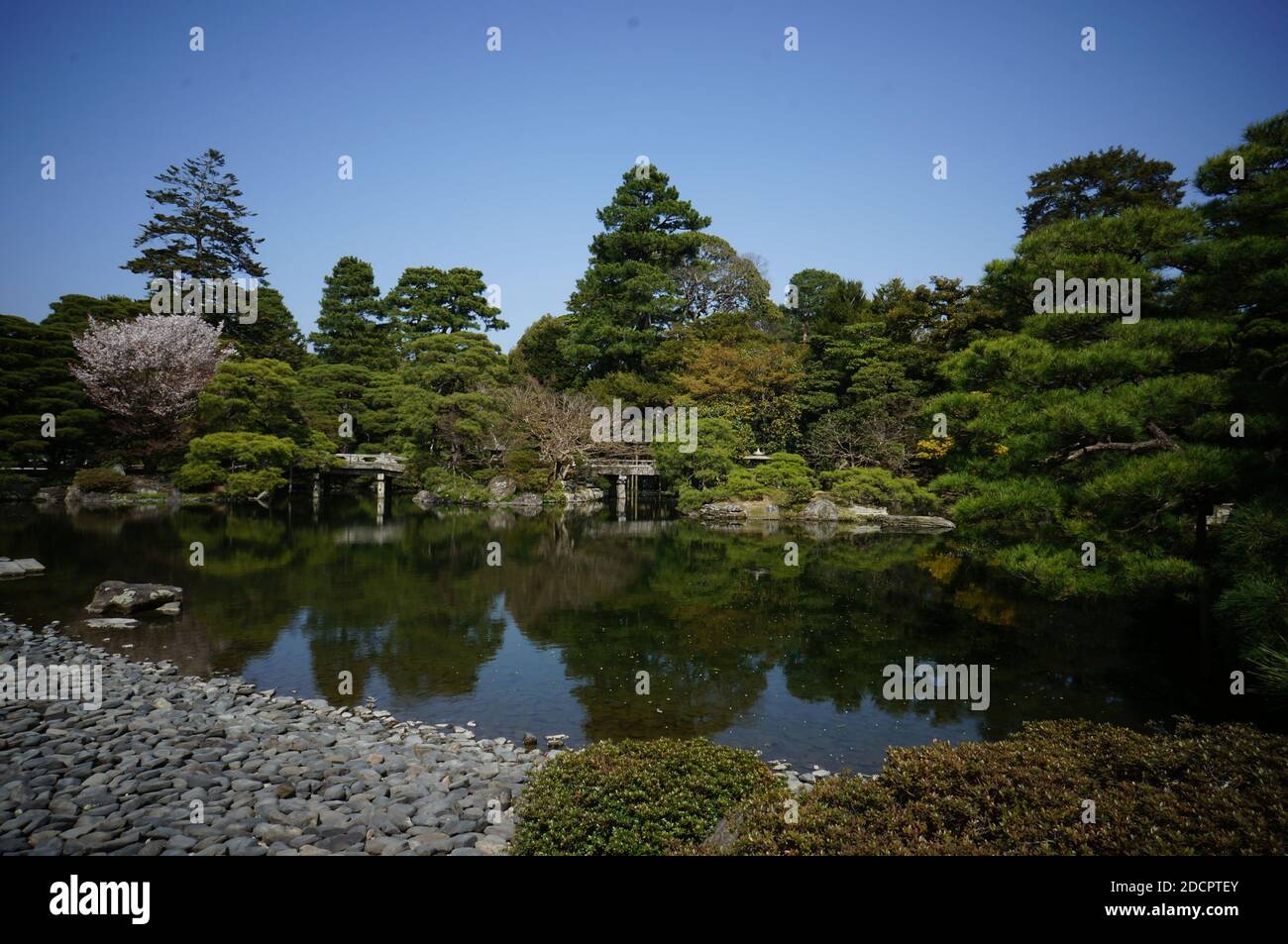 Japanese garden with lake Stock Photo - Alamy