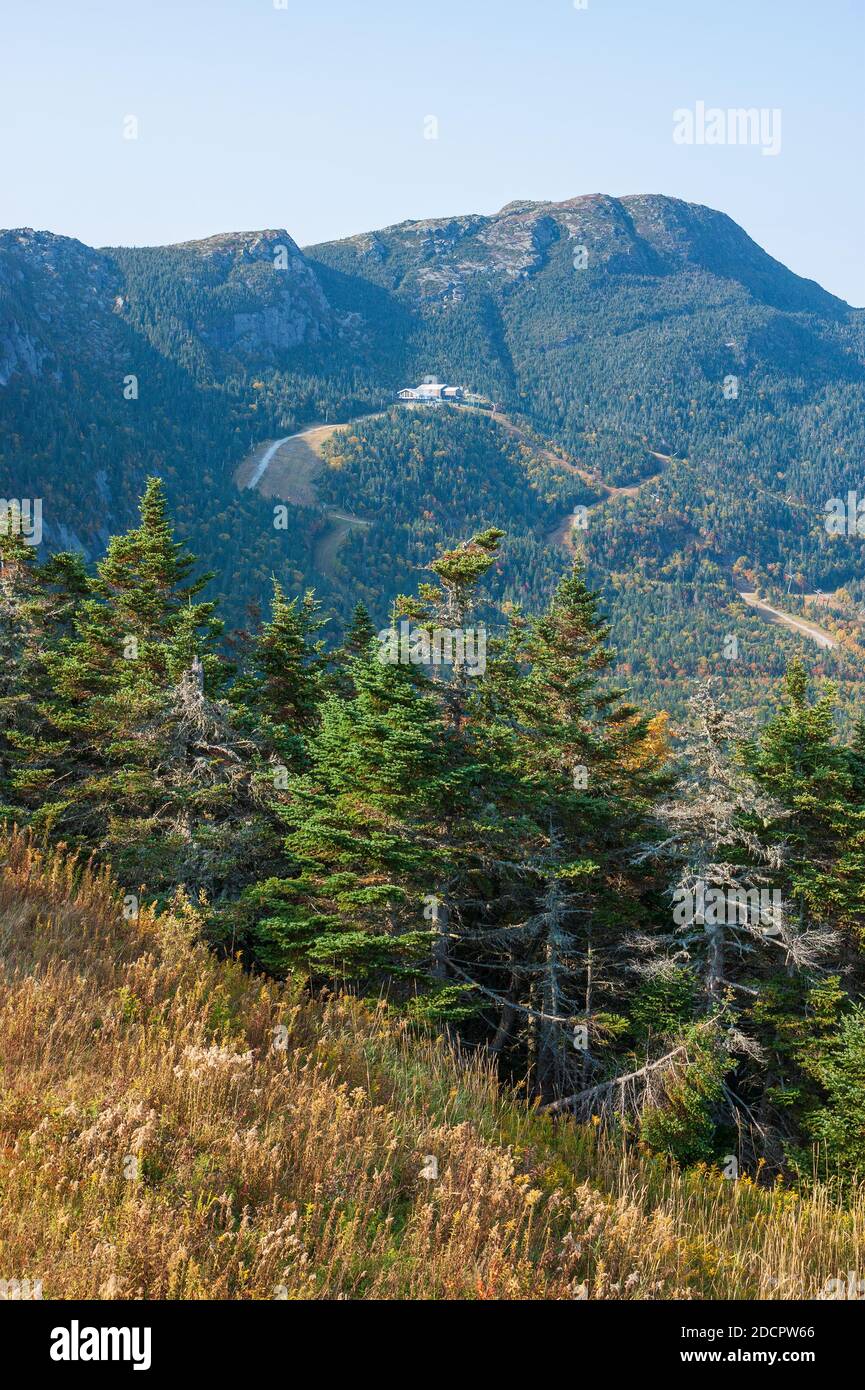 Mt. Mansfield - cliff outcrops, the ridge, and the summit. Mixed forest ...