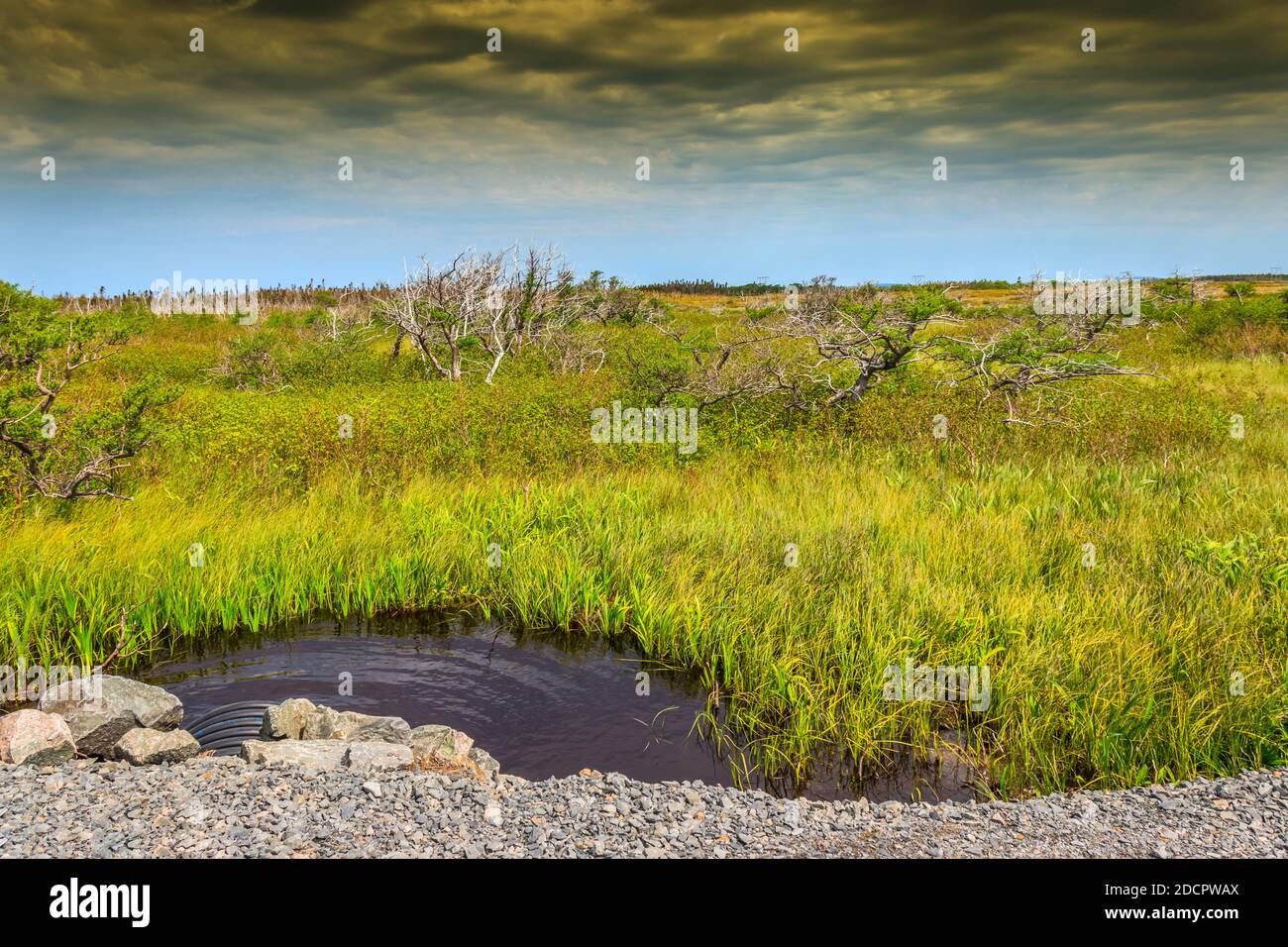 Stunning scenery of the West brook pond - Gros Morne National Park ...