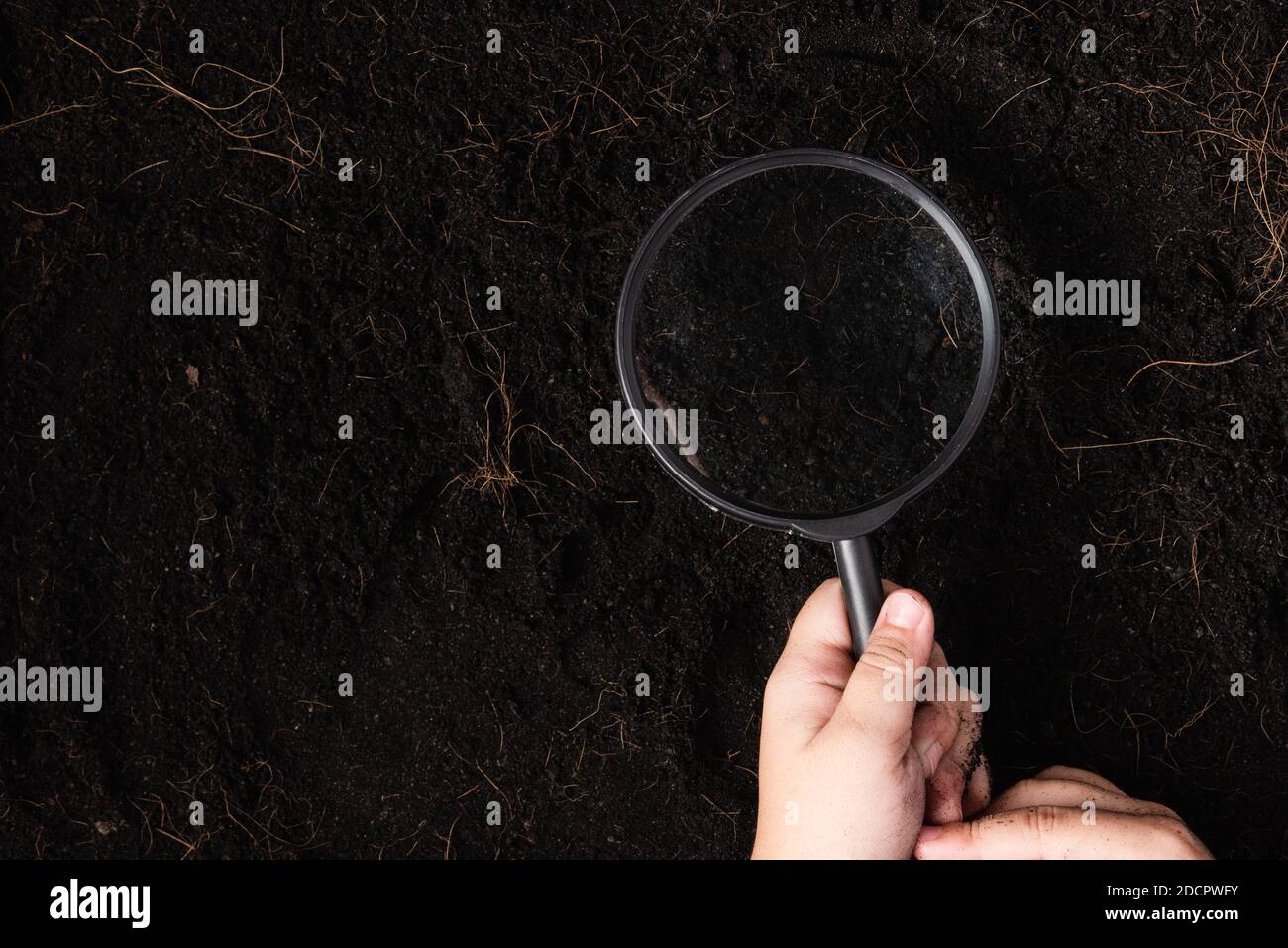 Top view of child hand hold magnifying glass for check black soil at ...