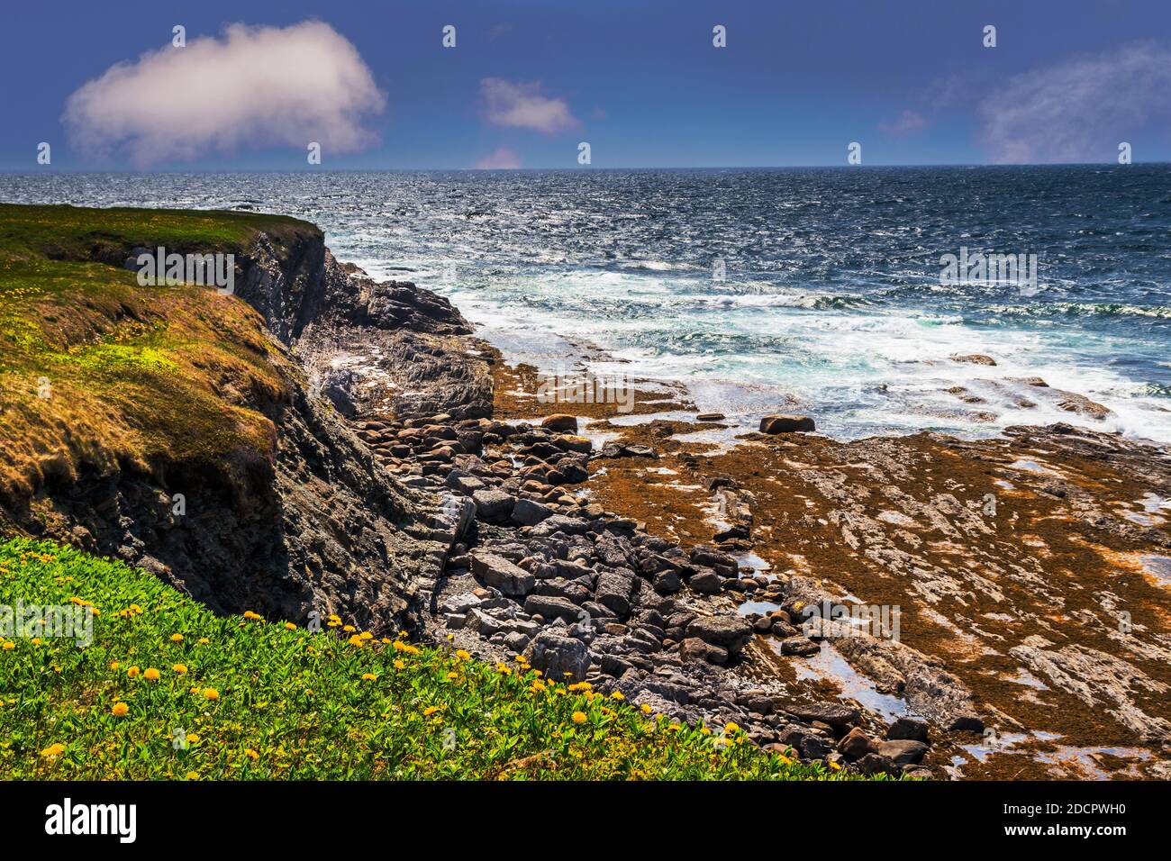 Atlantic Ocean seen from Green Point. Scenes from Gros Morne National ...