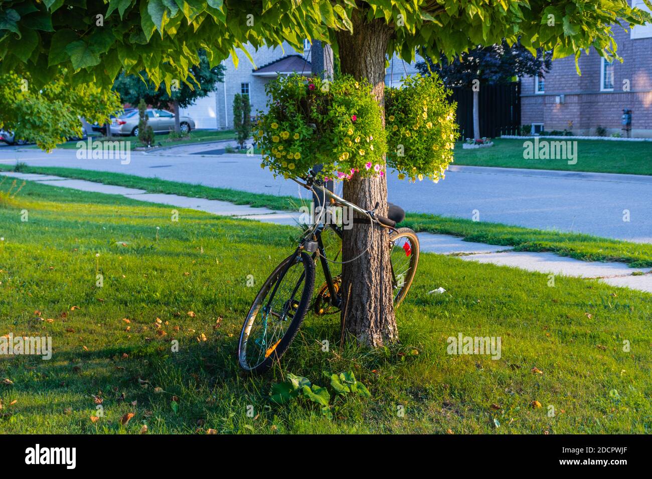 Invigorate hi-res stock photography and images - Alamy