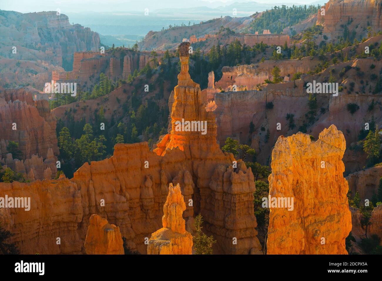 Sandstone spires in morning sunshine in Bryce Canyon National Park ...