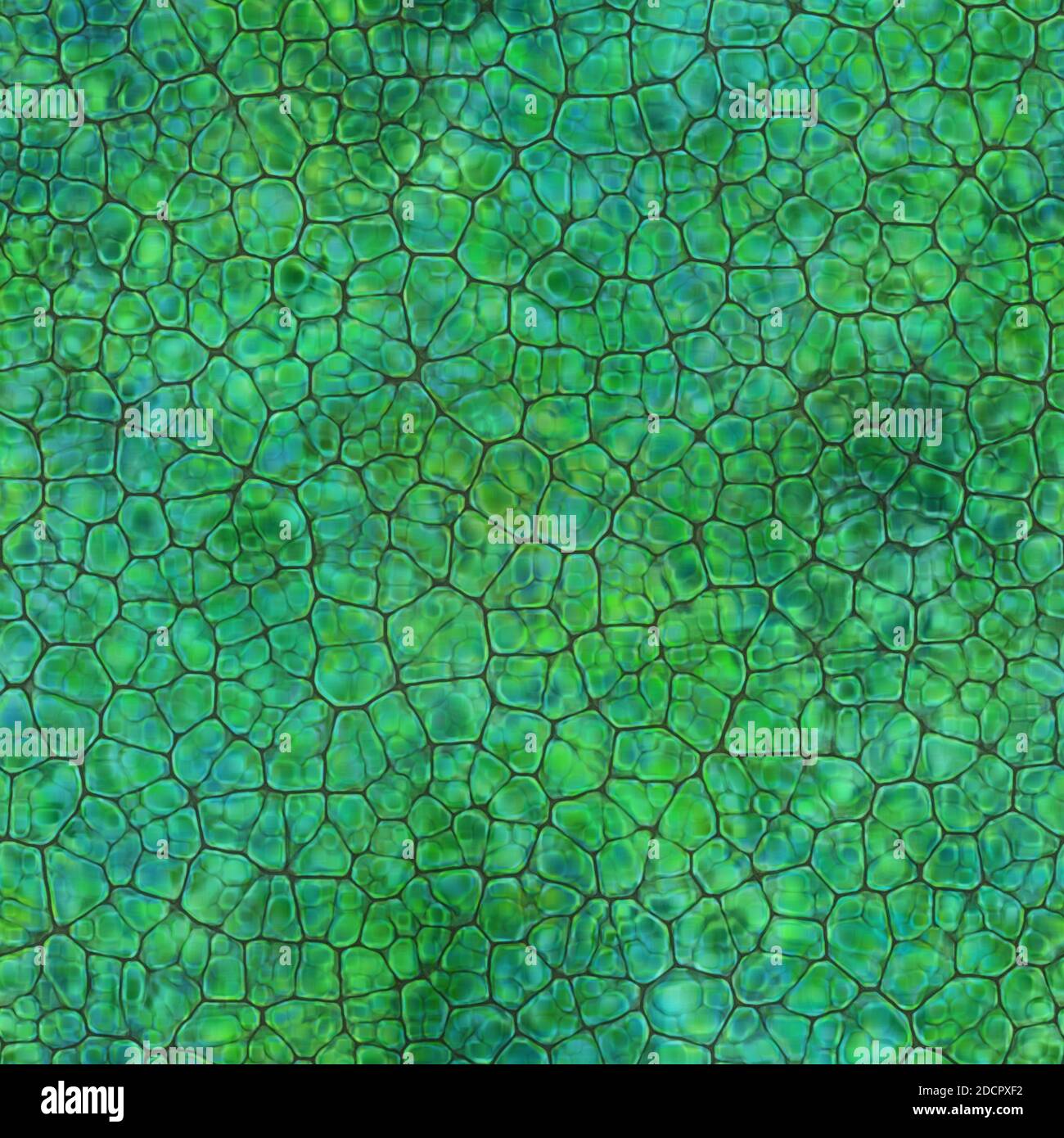 Cartoon seamless texture of color fantasy cobble stone ground pavement ...