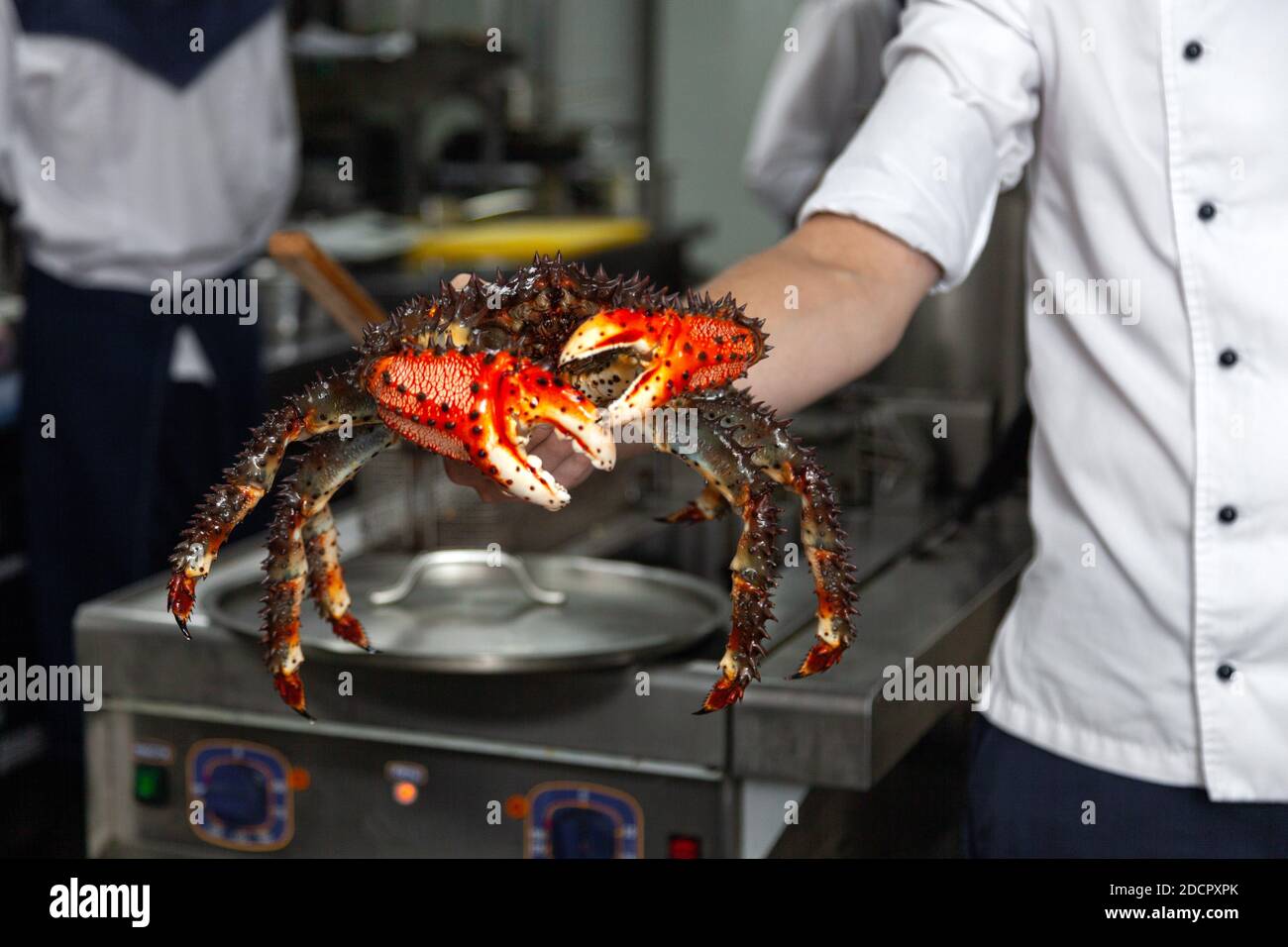 Chef prepares seafood dish in hi-res stock photography and images - Alamy