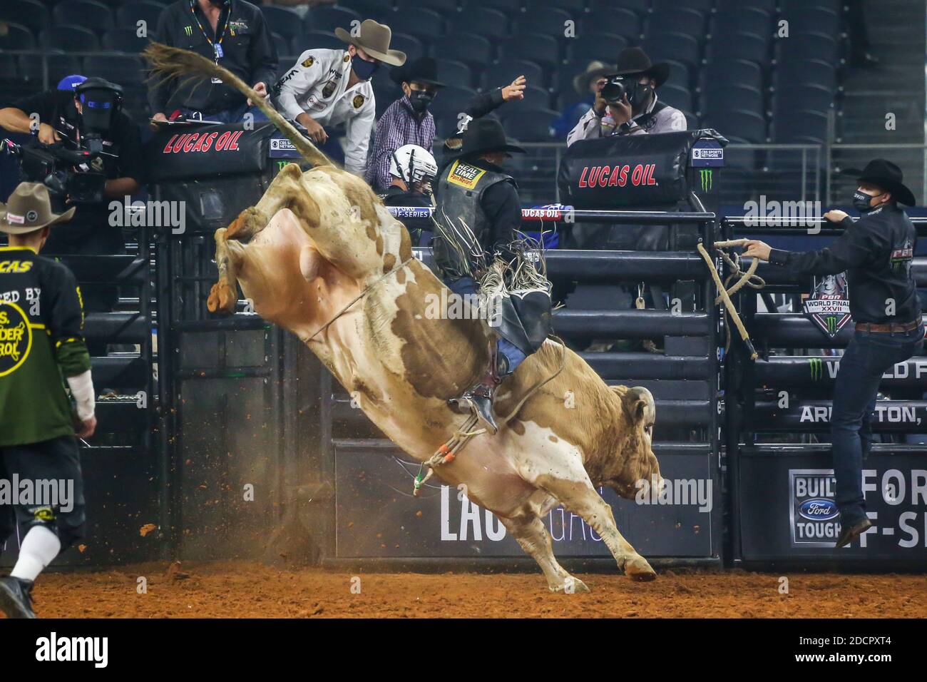 Bushwacker Bull Fathead