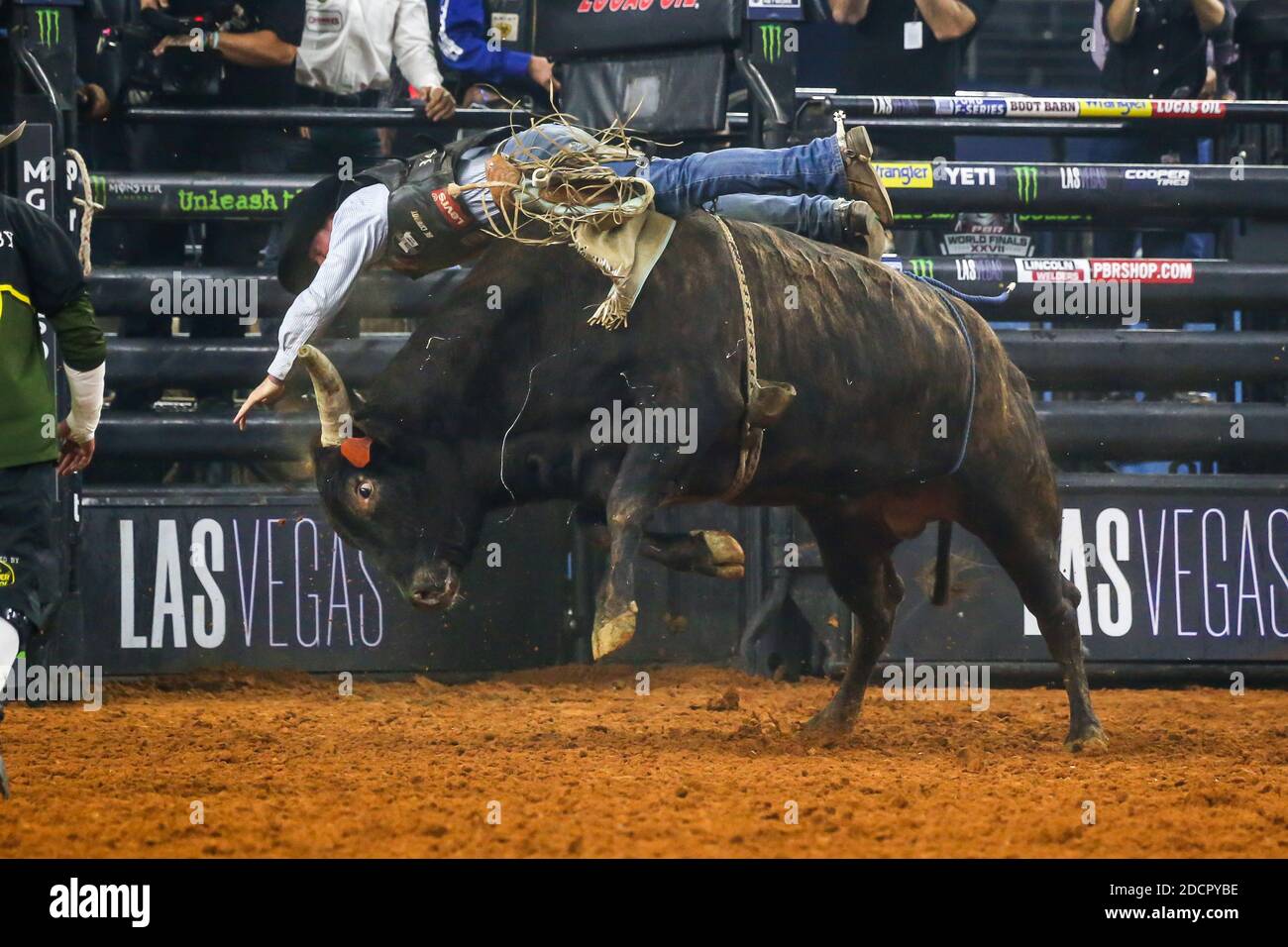 Bushwacker Bull Fathead