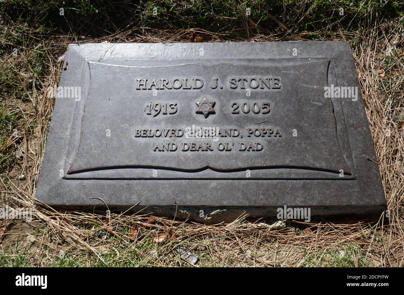 Los Angeles, California, USA 17th November 2020 A general view of ...