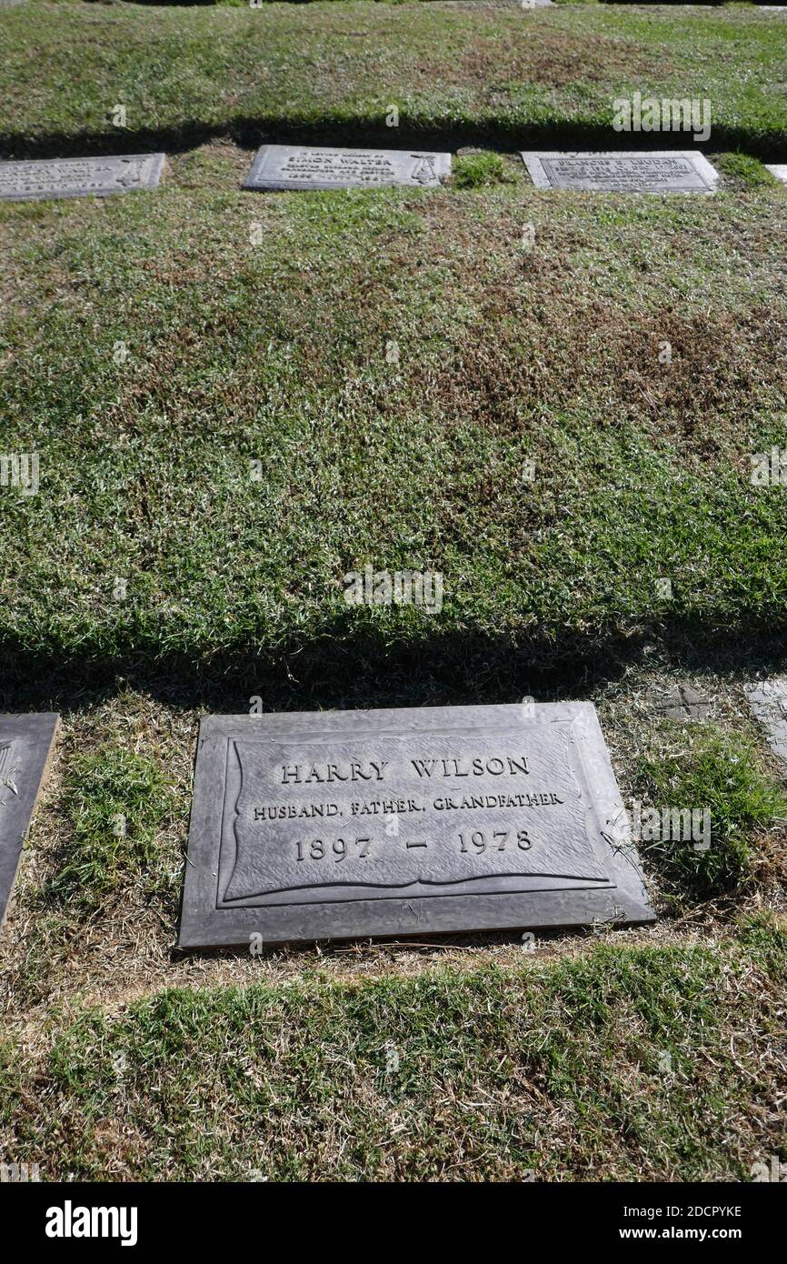 Los Angeles, California, USA 17th November 2020 A general view of ...