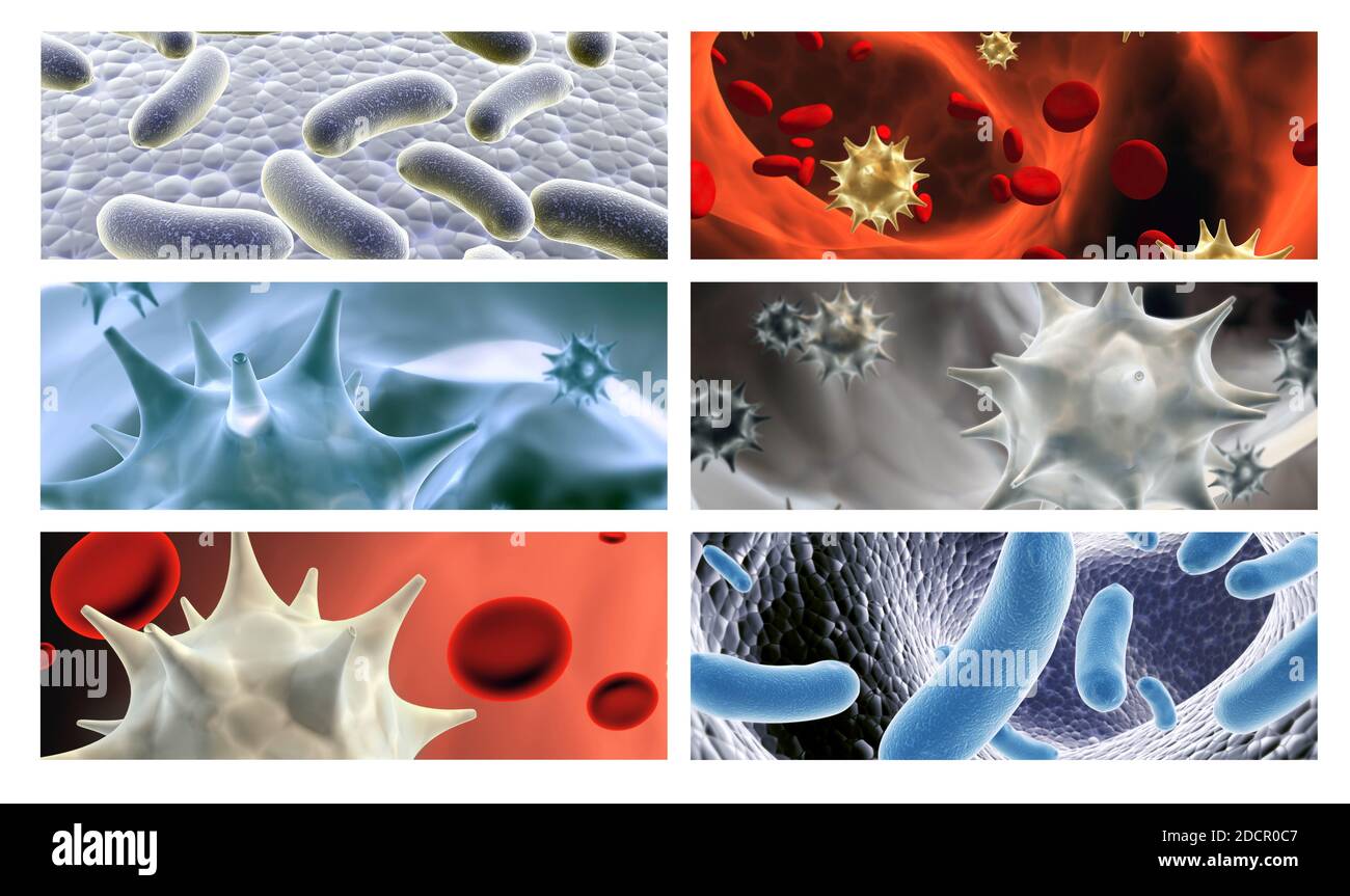 Collection of horizontal or vertical banners with pathogenic bacterias ...
