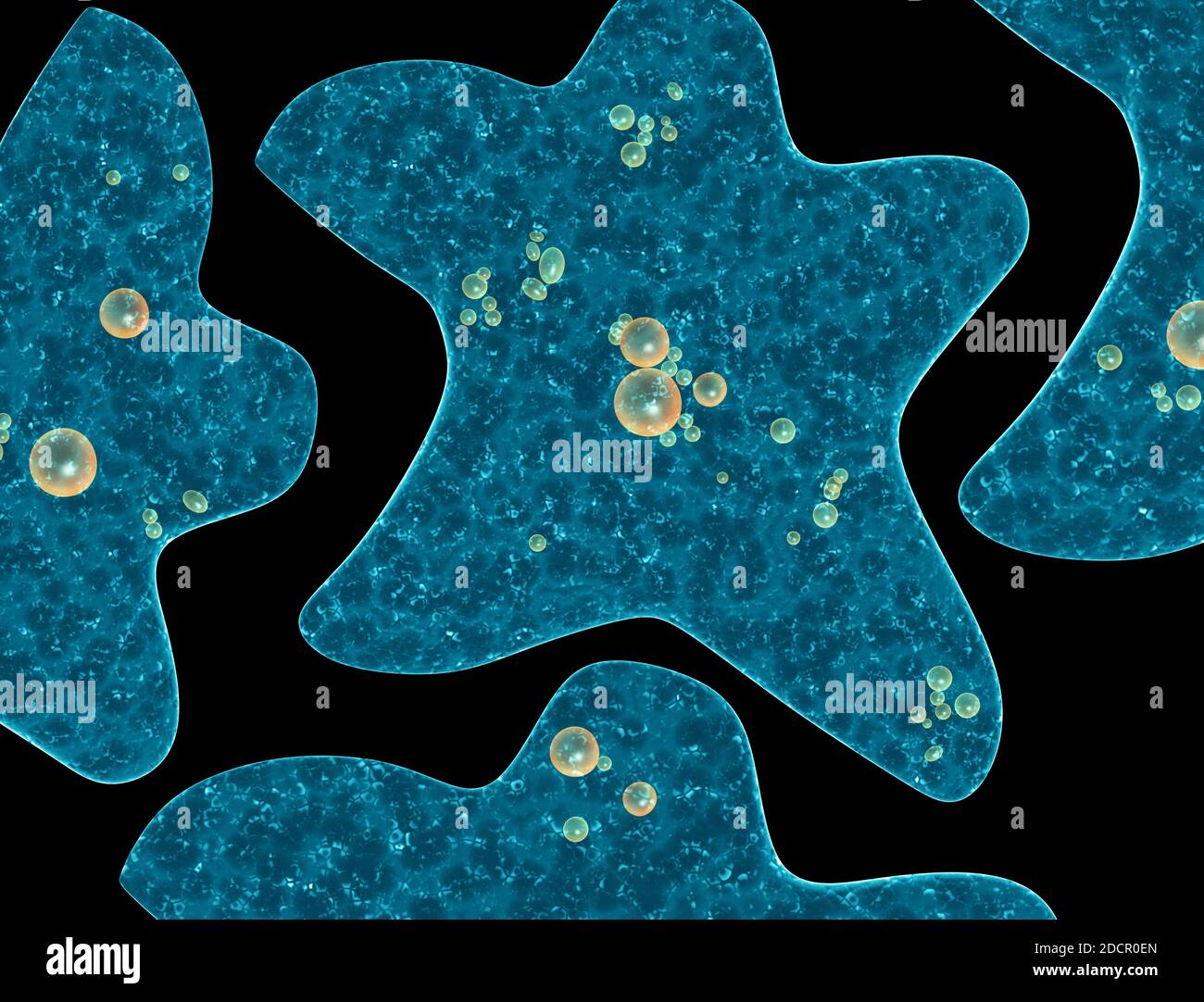 Amoebas. Isolated on black background. 3d render Stock Photo - Alamy